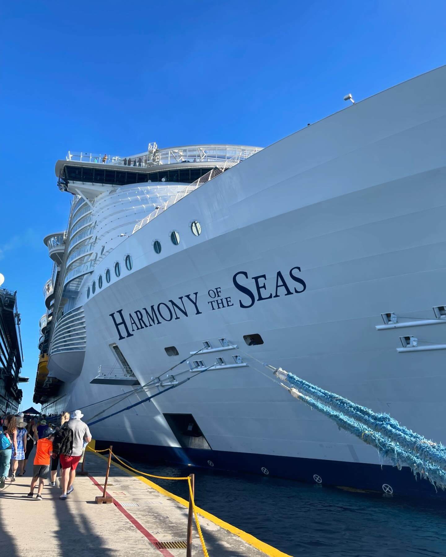 10 Biggest Cruise Ships in The World (2025 Ranking) - Cruise with Leo