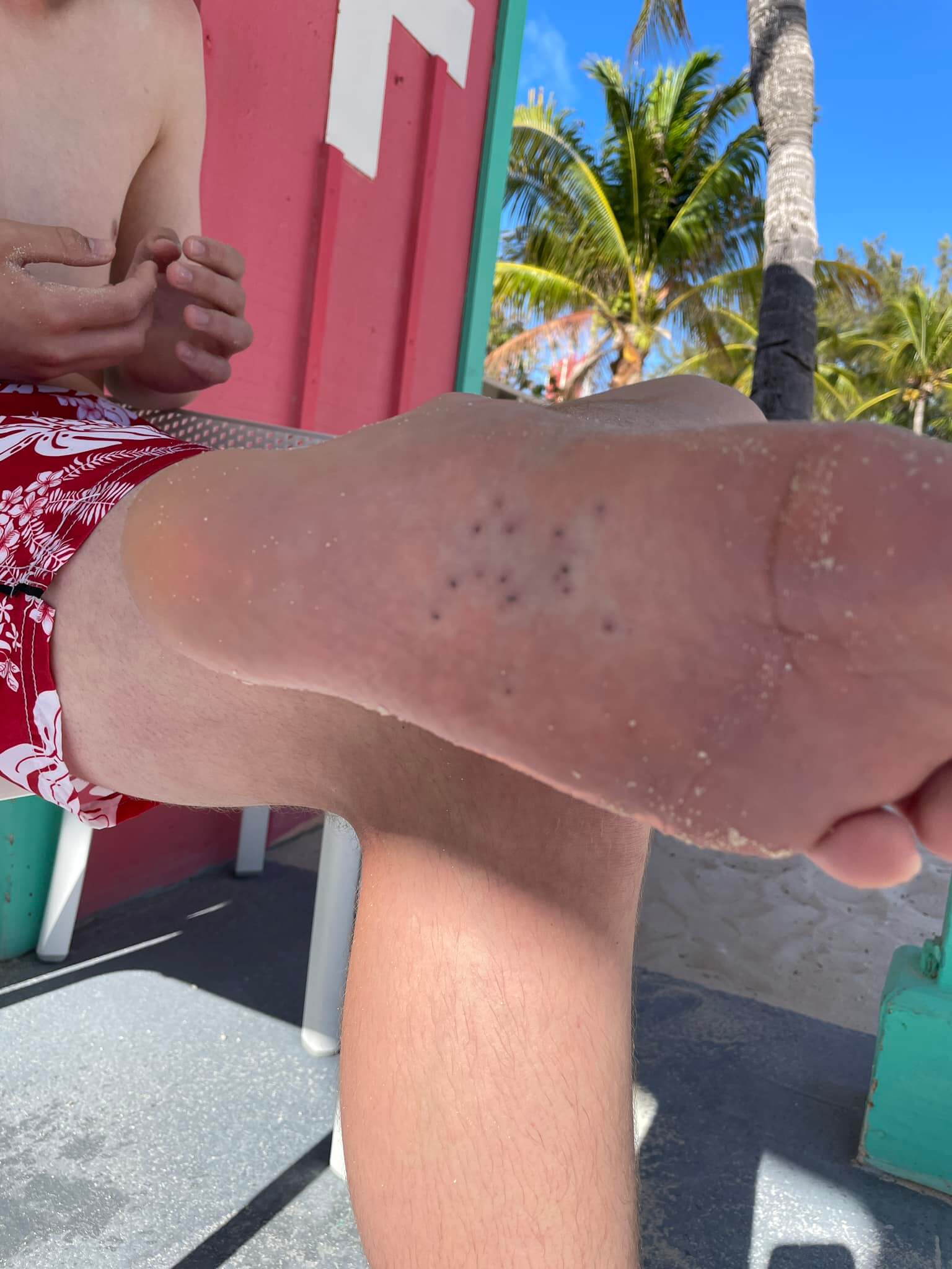 13 Mistakes to avoid on cruise private islands - Cruise with Leo