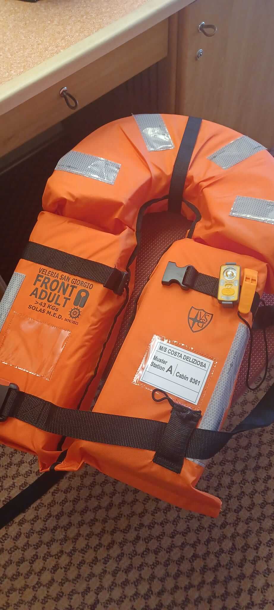 Code Words You Never Want to Hear on a Cruise Ship - Cruise with Leo